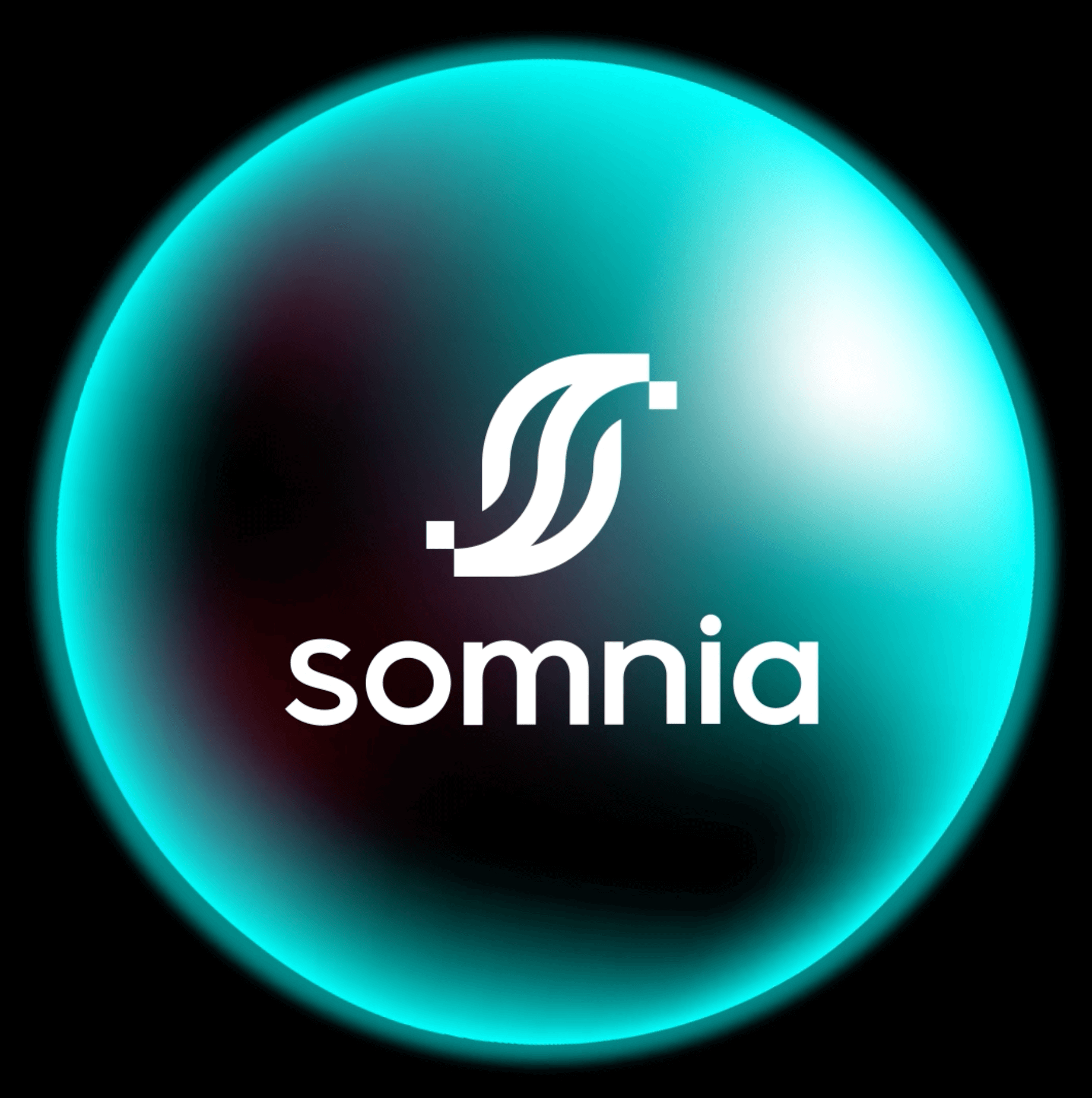 SOMNIA HUB - Orcinus
